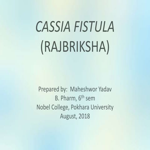 General information on Arjun tree | PPTX