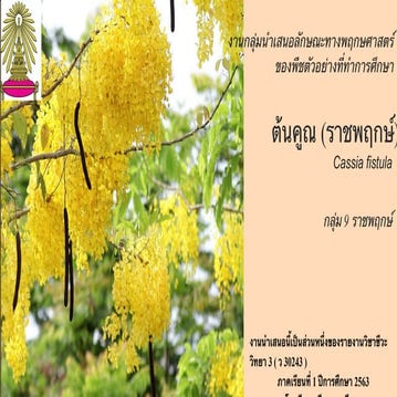 Cassia fistula | PDF
