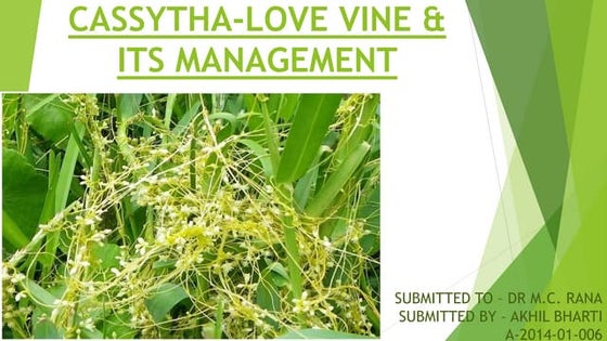 Introduction with weirs flumes and orifices | PPTX | Canoeing and ...