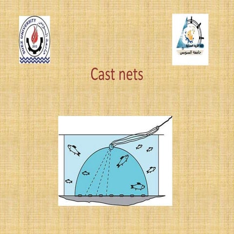 Cast Net Diagram
