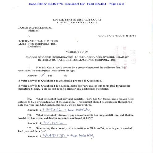 Castelluccio v. IBM -- Jury Verdict Form | PDF