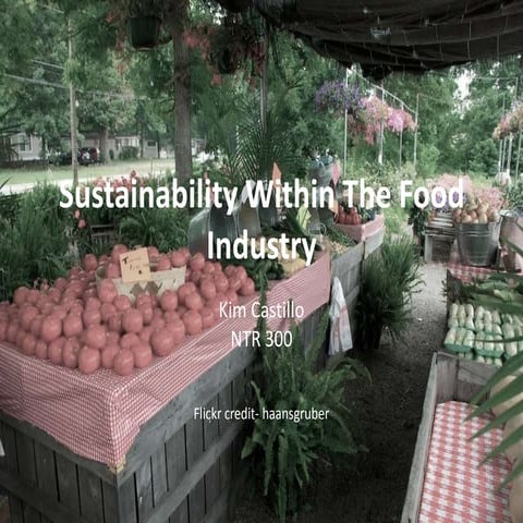 Sustainability Within the Food Industry | PPT