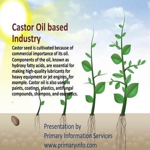 Castor oil derivatives | PDF
