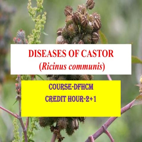 Diseases of castor and their management. | PDF