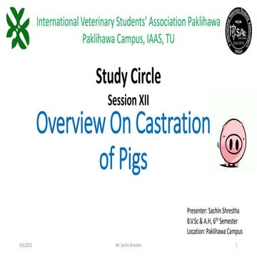 CASTRATION AND ITS TYPES IN VETERINARY ANIMALS | PPTX