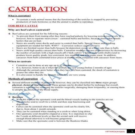 Castration of Pigs.pptx