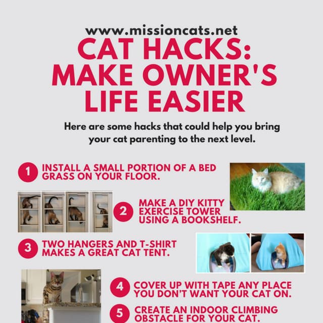 Cat Hacks: Make Owner's life Easier | PDF