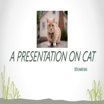 Cats ppt | PPTX