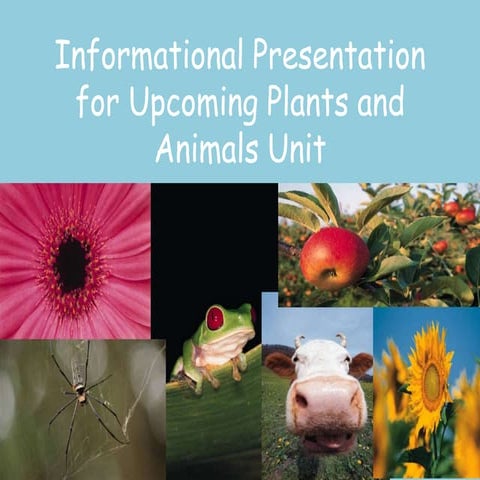 Plants & animals | PPTX