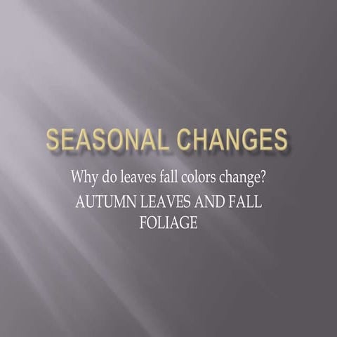 The Four Seasons Project | PPTX
