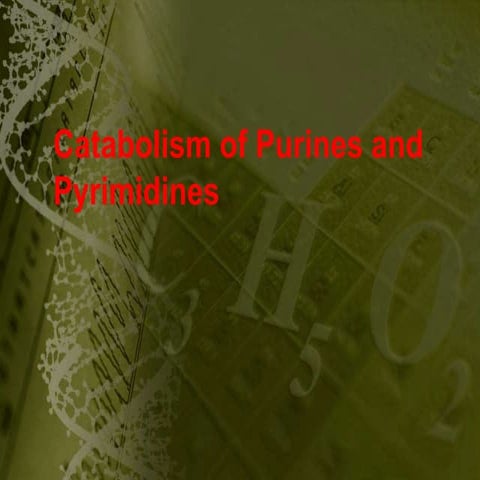 Catabolism of purine and pyrimidine synthesis | PPTX