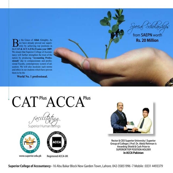 Cat acca | PDF