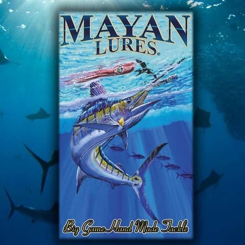 Iwb instructions | PDF