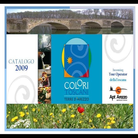 Caddinton Hall launch | PPT