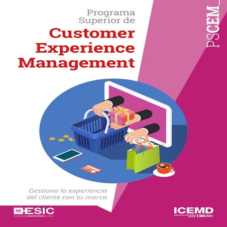 Programa superior en Customer experience Management | PDF