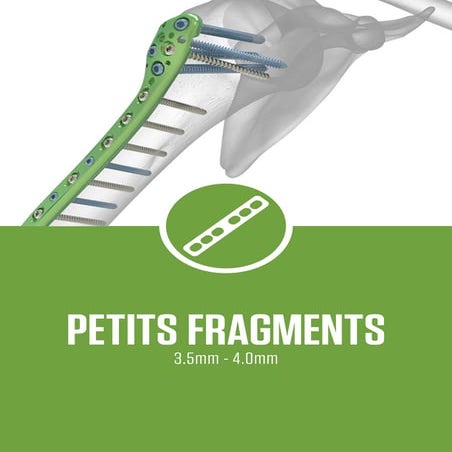 Catalogue 65-73-petits fragments | PDF