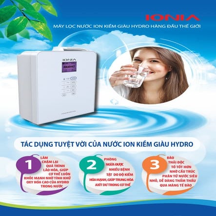 Catalogue ionia | PDF