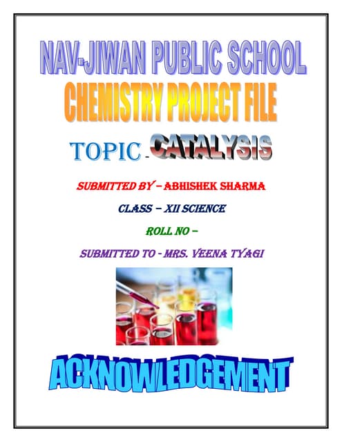 Catalysis Chemistry Project | PDF