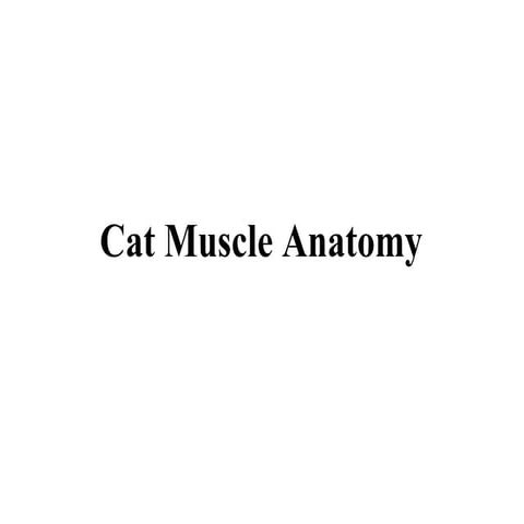 Cat anatomy | PPT