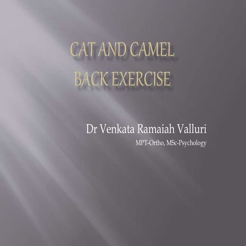 Cat and camel exercises | PPT