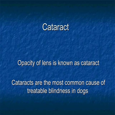 Cataract | PPT