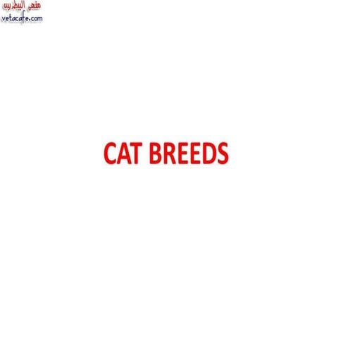Cat breeds | PPTX | Cats | Pets