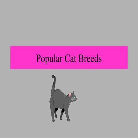 Cats Powerpoint | PPTX