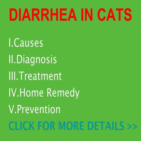 Diarrhea in Cats: Causes, Diagnosis, Treatment and Prevention | PPT