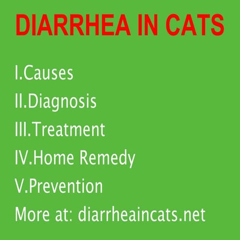 Cat diarhea and solution | PPT
