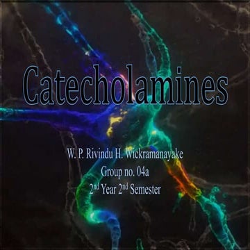Catecholamines - Rivin | PPTX