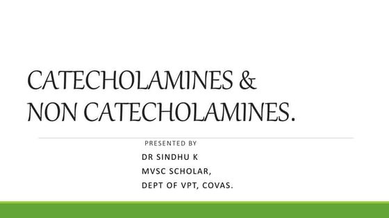 Catecholamines | PPTX | Heart and Cardiovascular Diseases | Diseases and Conditions