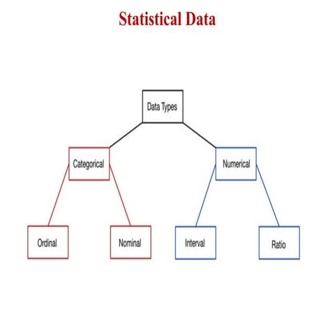 Categorical_Data_Analysis_Combined_MSc_Biostatistics.pptx