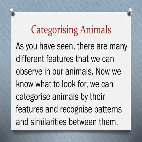 Categorising animals | PPSX