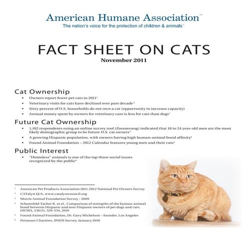 Cat Facts November | PDF