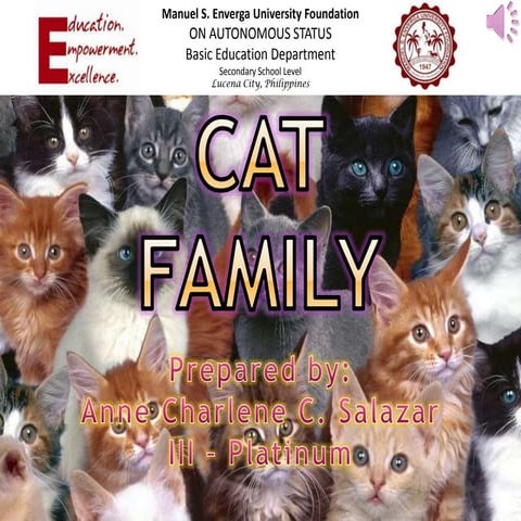 Cat family (Breeds of Cat) | PPTX