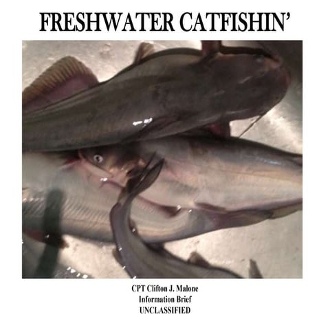 Catfishing | PPTX