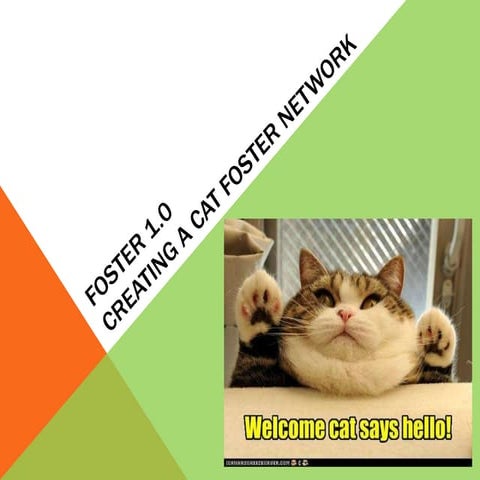 Fostering 101 slideshow dp | PPTX
