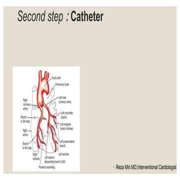 Catheter conference final | PPTX