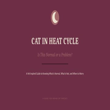 Cat in Heat Cycle: Is This Normal or a Problem? (1).pptx