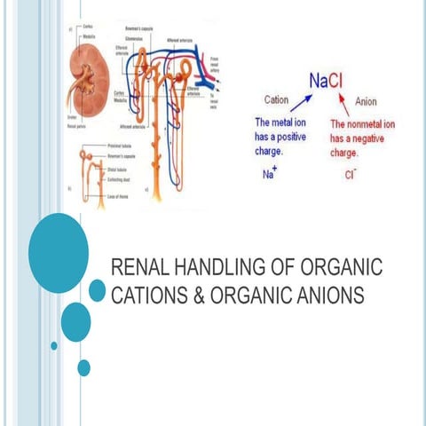 Ions cations and anions | PPT