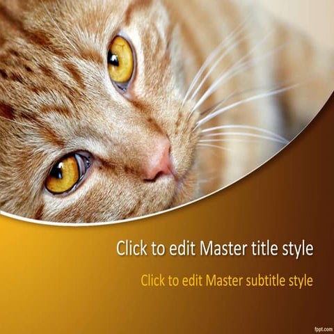 Cat | PPT