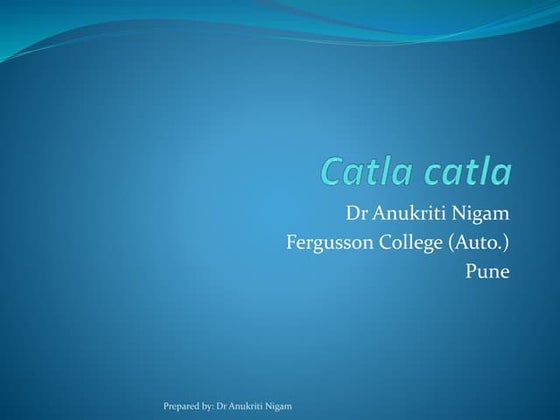 Catla Catla Introduction, Morphology & it's Characteristics. | PPT