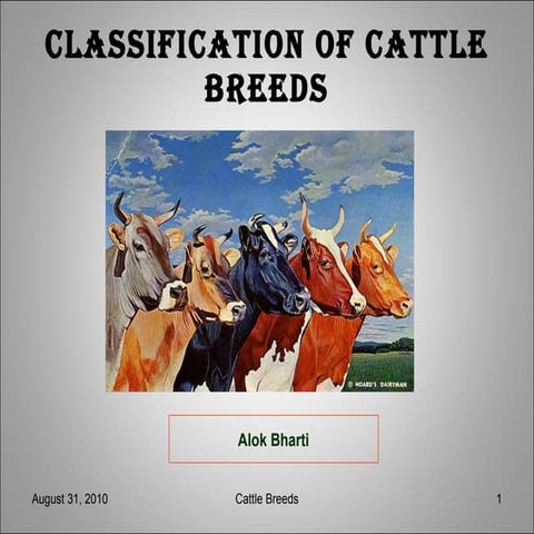 Dairy cattle breeds | PDF