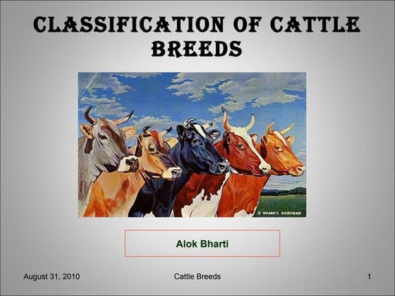 BEEF CATTLE PRODUCTION | PDF | Reproductive Health | Diseases and ...