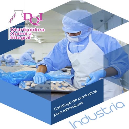 Catálogo DQI industria. | PDF