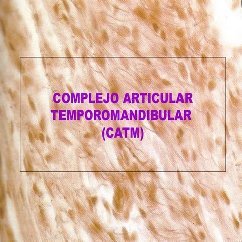 Catm | PPT