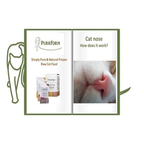 Cat nose. How does it work? | PPTX | Ear, Nose and Throat Conditions ...