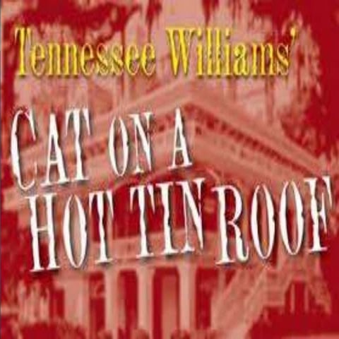 Cat on a hot tin of roof | PPTX