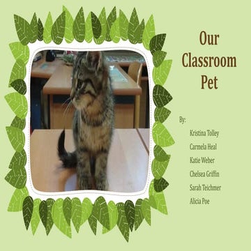 Cats ppt | PPTX