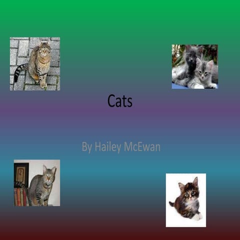 What do you Know About Cats? | PPTX